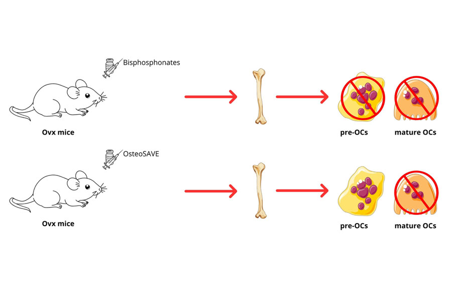 Una nuova nanoparticella peptidica per il riconoscimento selettivo ...